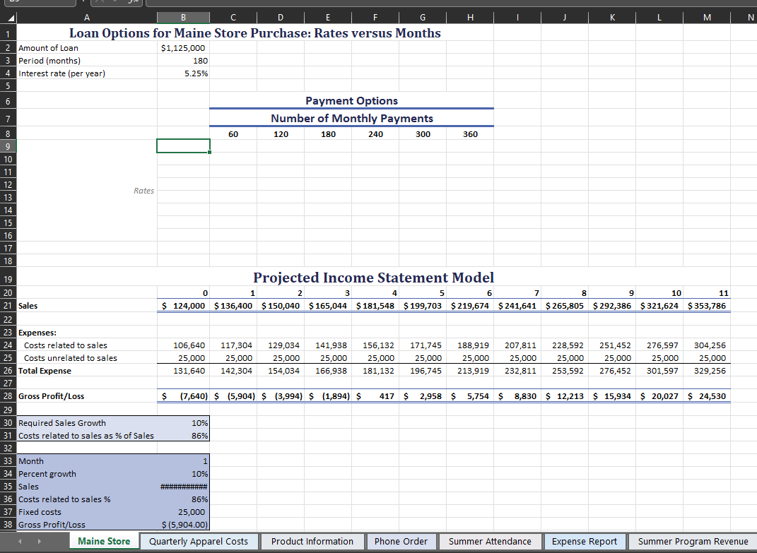 I am looking for help to solve this Excel project. | Chegg.com
