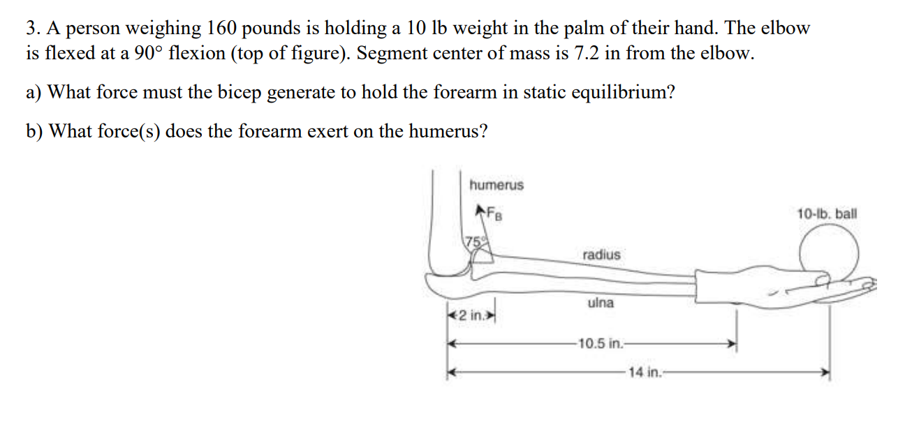 3. A person weighing 160 pounds is holding a 10lb | Chegg.com