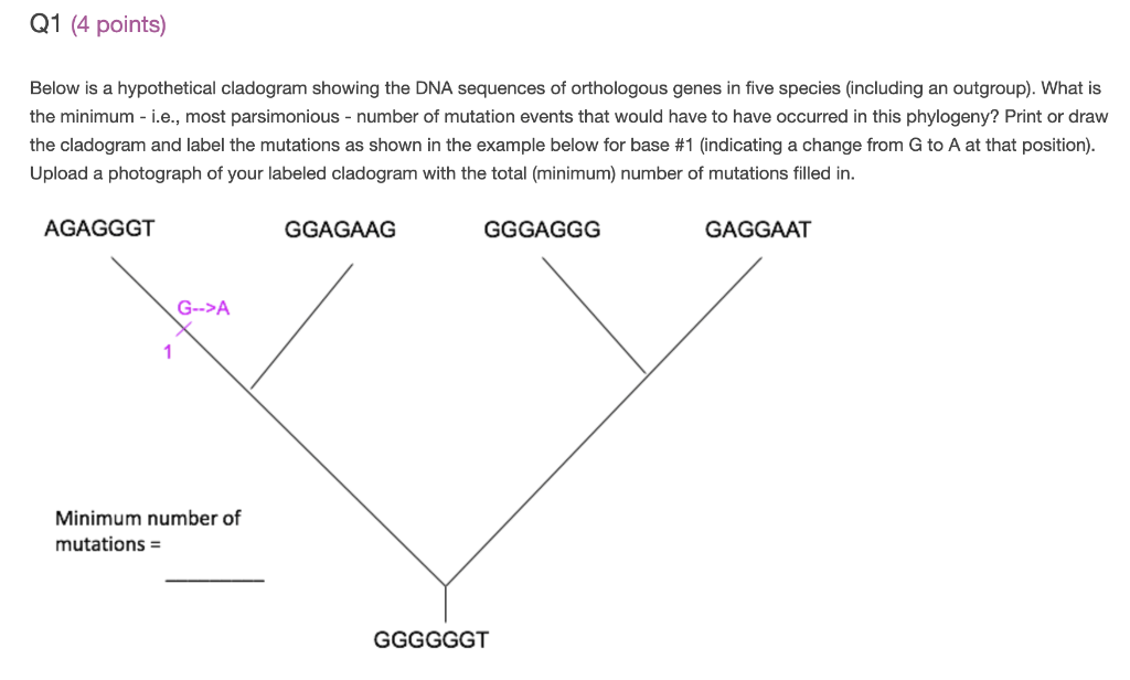 Solved Q1 (4 points) Below is a hypothetical cladogram | Chegg.com