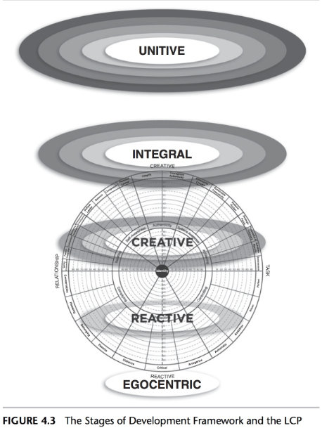 Solved Using the Leadership Circle Profile and the Stages | Chegg.com