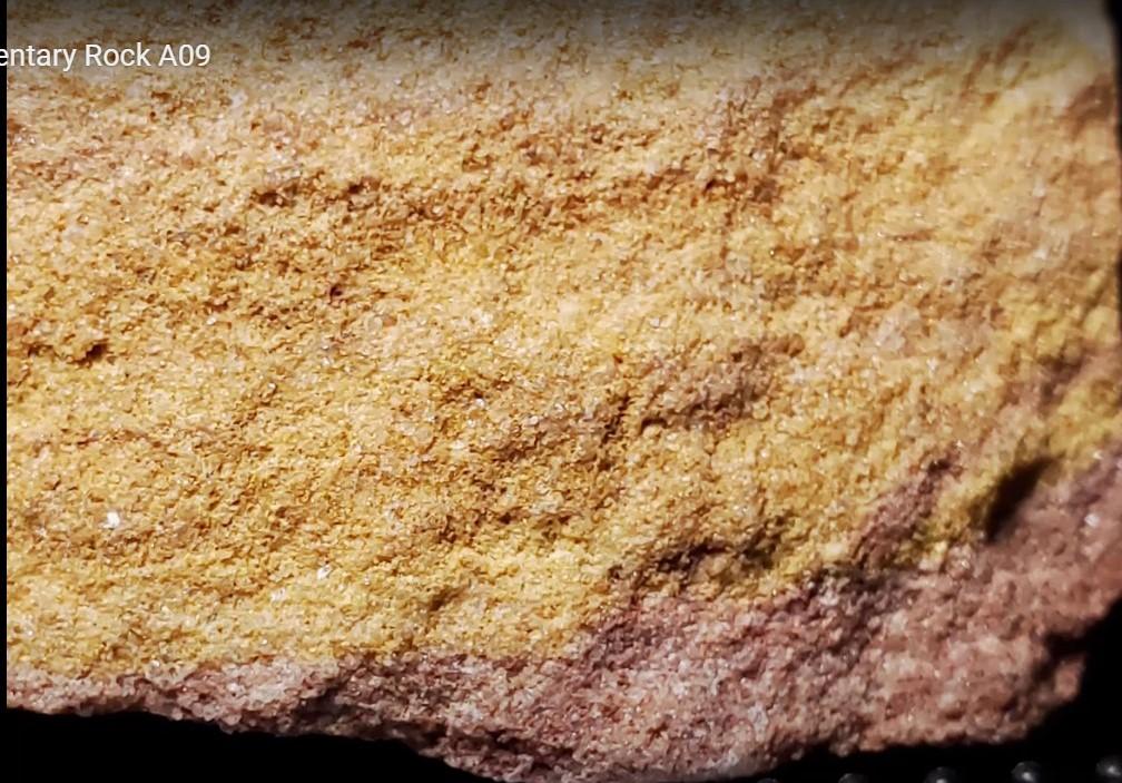 Solved SEDIMENTARY ROCKS WORKSHEET Does matrix fizz in acid? | Chegg.com