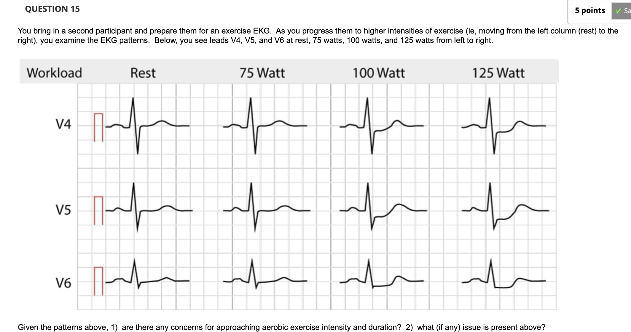 Solved Place the electrode to serve as the positive pole of | Chegg.com