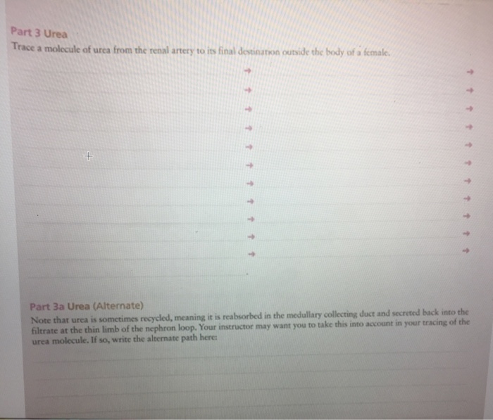 Solved please answer both: part 3 urea ( which has 23 lines | Chegg.com