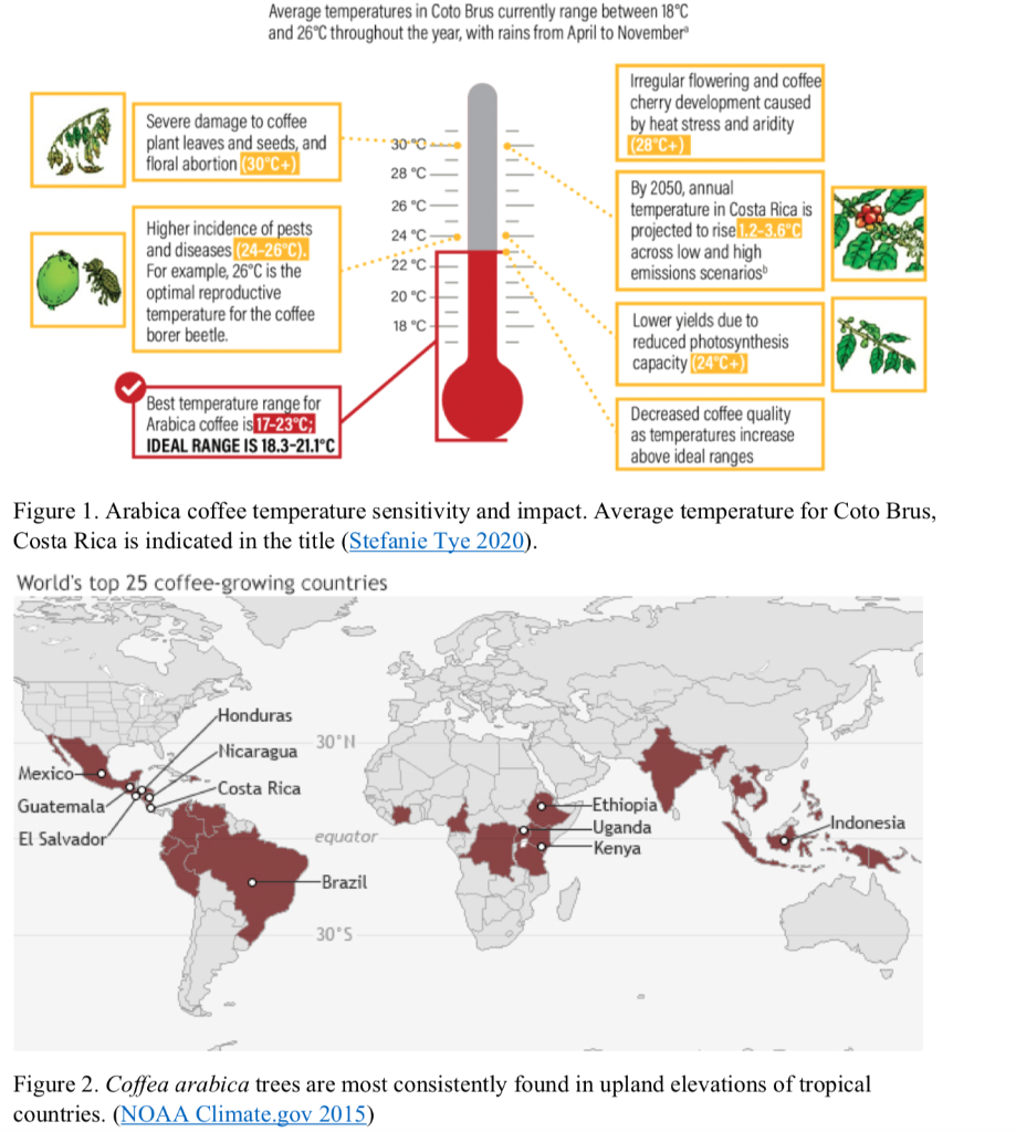 Solved INTRODUCTION Arabica Coffee and Climate Change Coffee | Chegg.com