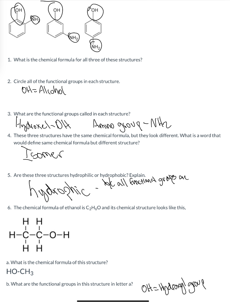 Solved What is the chemical structure for all 3? What is the | Chegg.com