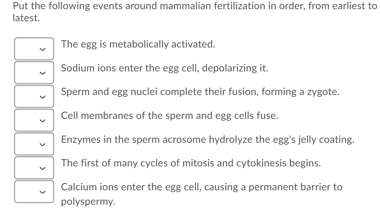 Solved Put the following events around mammalian | Chegg.com