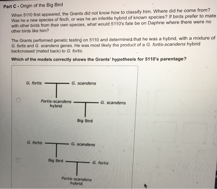 Solved Part C Origin of the Big Bird When 5110 first | Chegg.com
