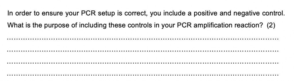 Solved In order to ensure your PCR setup is correct, you | Chegg.com