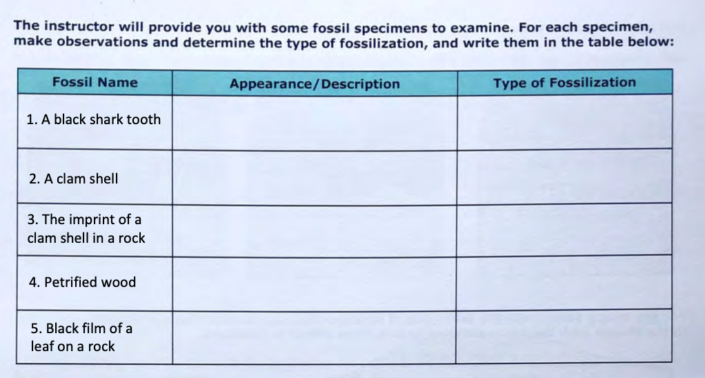 Solved The instructor will provide you with some fossil | Chegg.com