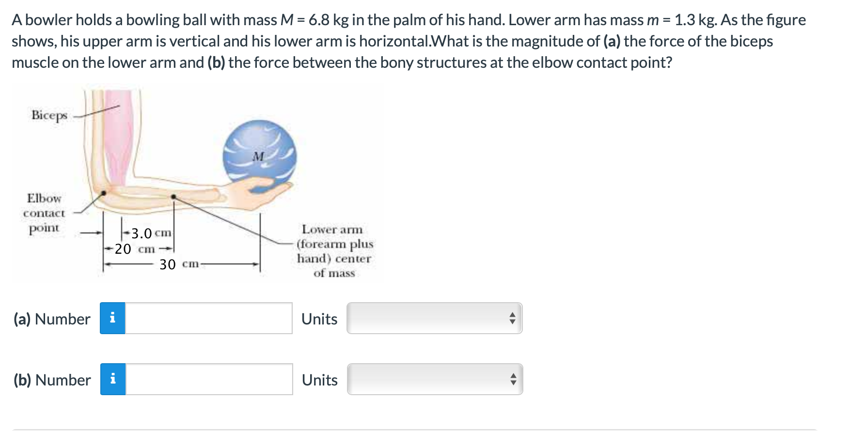 Solved A bowler holds a bowling ball with mass M = 6.8 kg in | Chegg.com