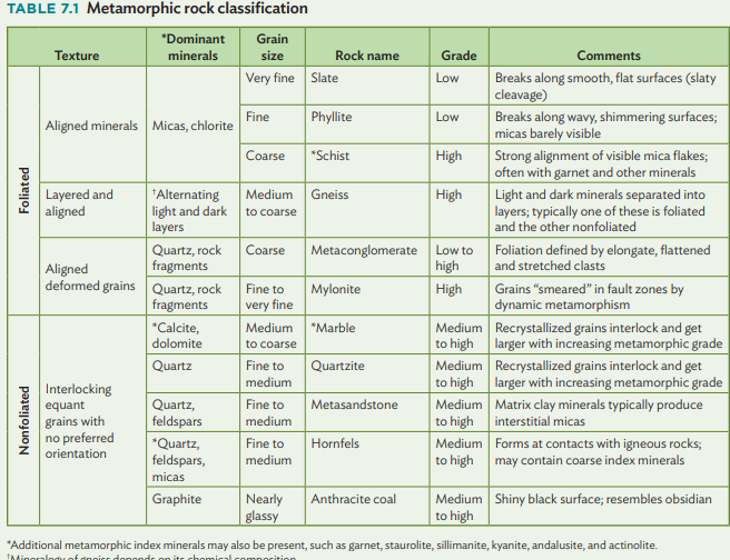 Solved Examine the metamorphic rock specimens in the rock | Chegg.com