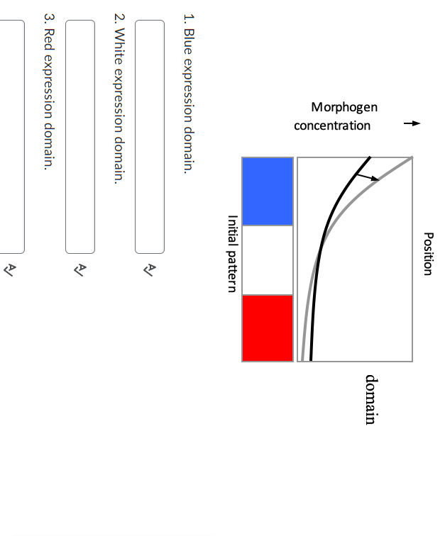 Solved A morphogen gradient is established from left to | Chegg.com