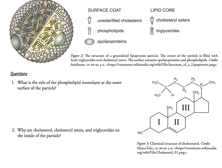 Solved ure 2: The structure of a generalized lipoprotein | Chegg.com