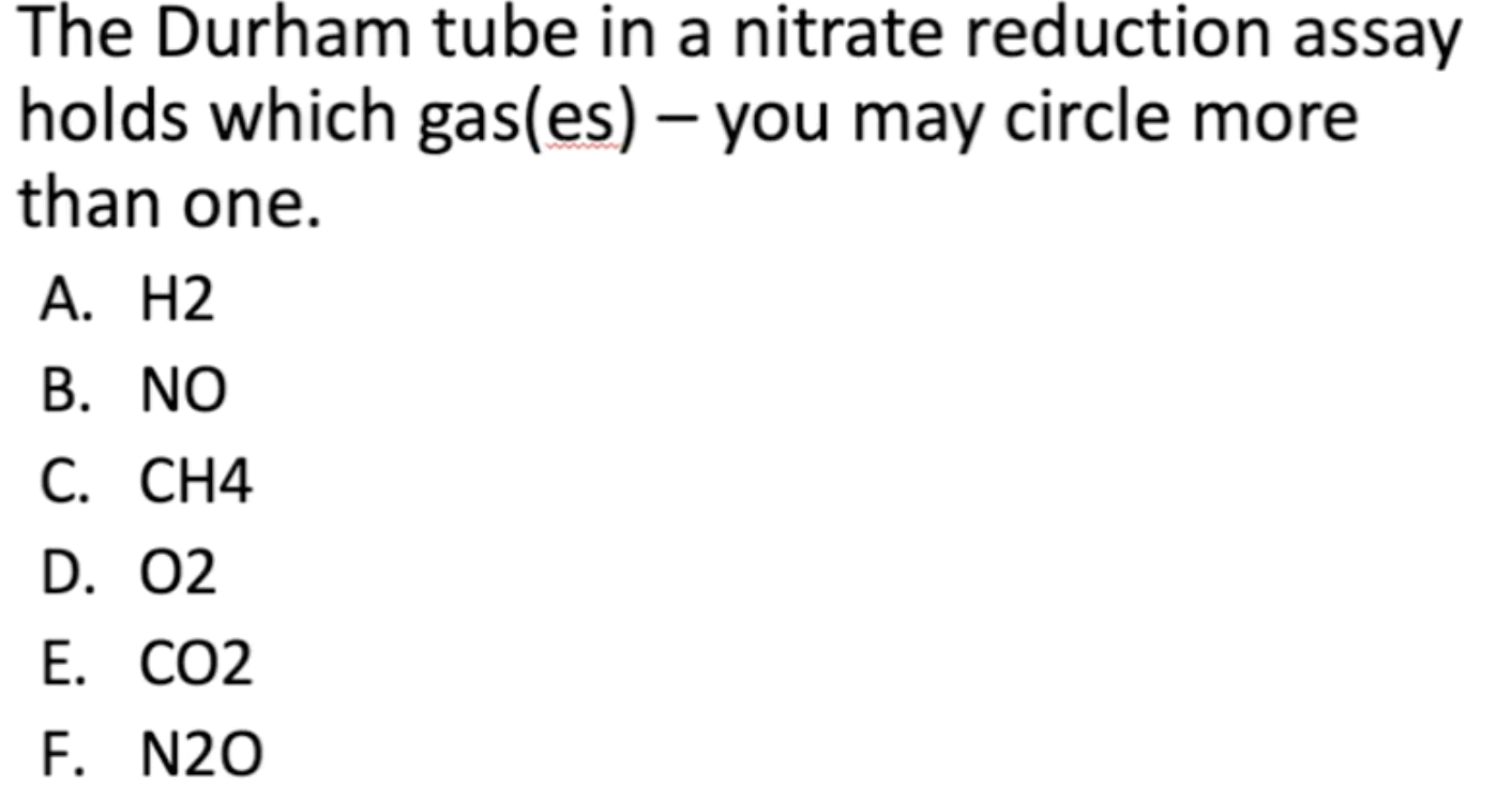 Solved The Durham tube in a nitrate reduction assay holds | Chegg.com