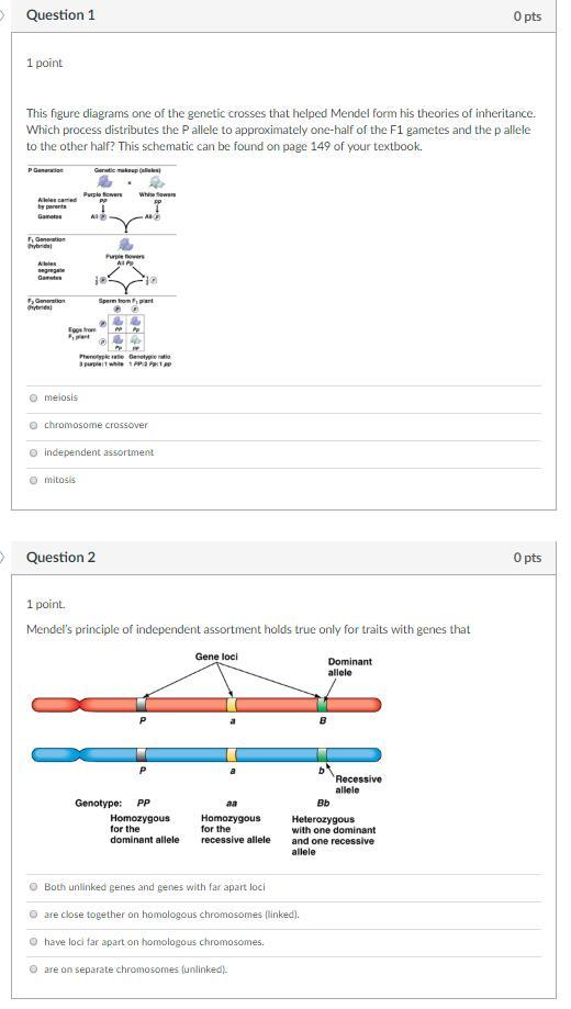 Solved Question 1 O pts 1 point This figure diagrams one of | Chegg.com