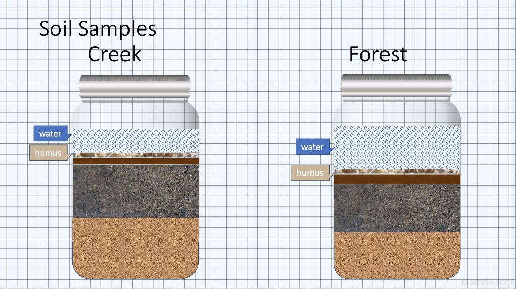 Solved Back yard water humus Soil Samples Creek Forest | Chegg.com