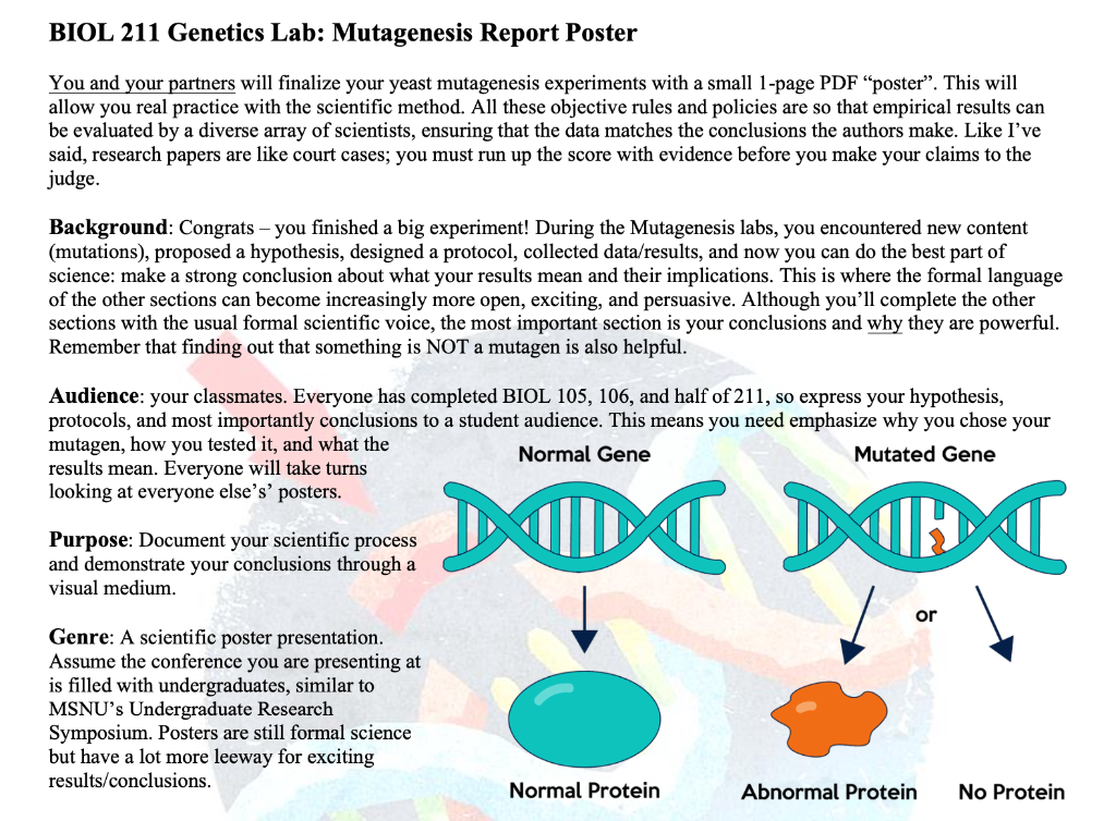 BIOL 211 Genetics Lab: Mutagenesis Report Poster You | Chegg.com