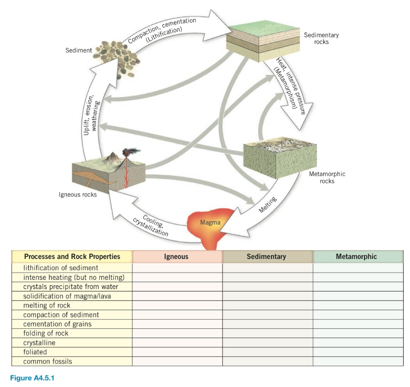 Igneous Sedimentary And Metamorphic Rocks Explained