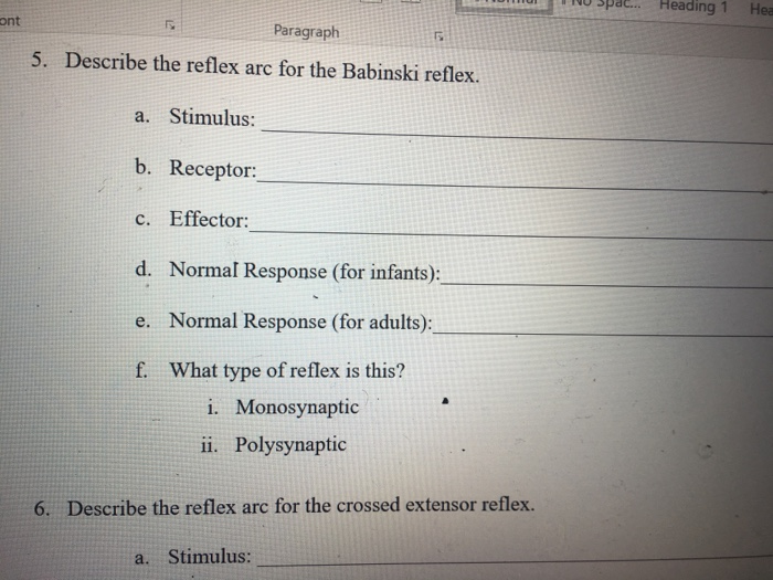 Babinski Reflex Arc