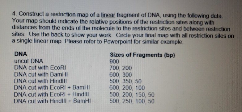 Solved 4. Construct a restriction map of a linear fragment | Chegg.com