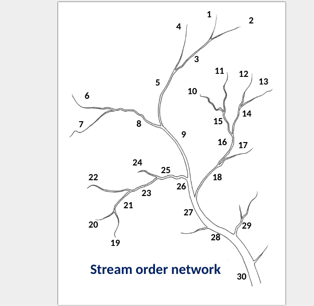 Solved Instructions – Determine stream order for channels | Chegg.com