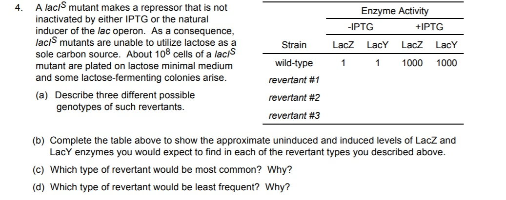 Solved 4. A laclS mutant makes a repressor that is not | Chegg.com