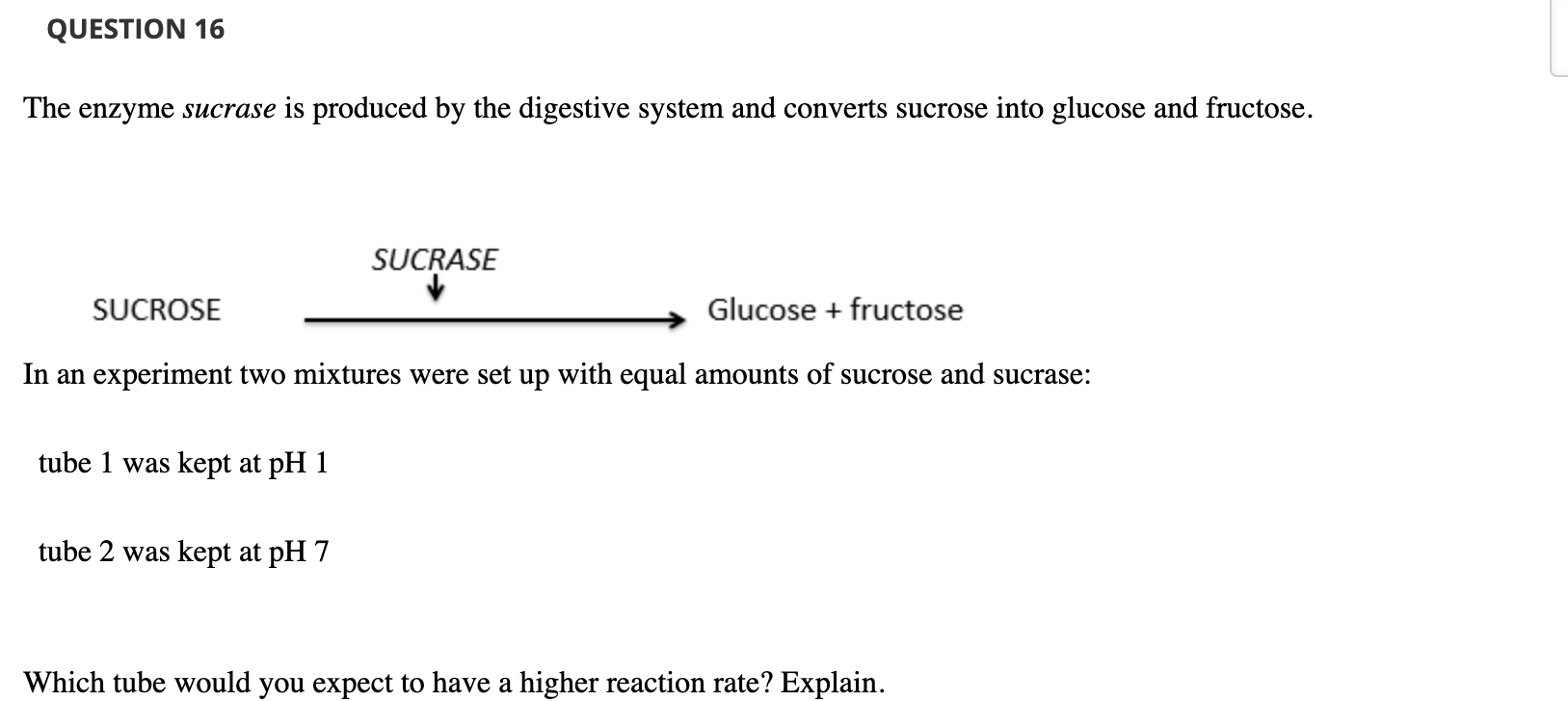 Solved QUESTION 16 The enzyme sucrase is produced by the | Chegg.com