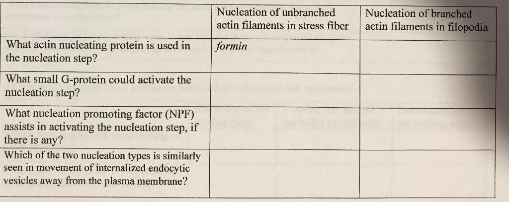 Solved Nucleation of unbranched actin filaments in stress | Chegg.com