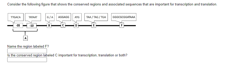 Solved Consider the following figure that shows the | Chegg.com