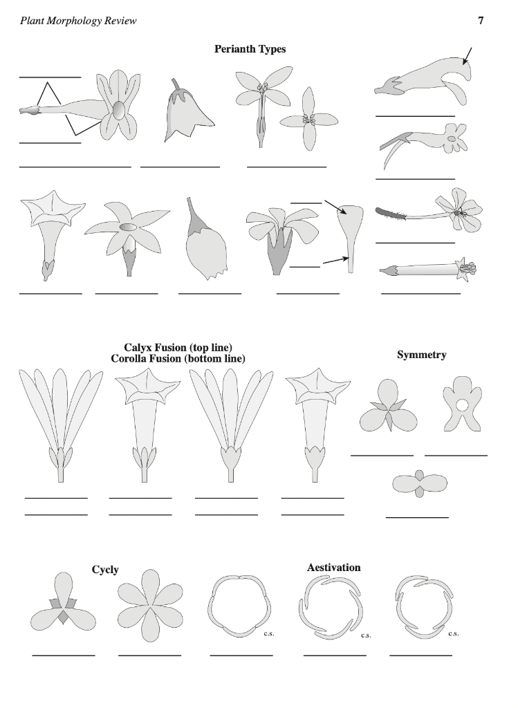 Solved Fill in the blank: What is the Periath Types for | Chegg.com