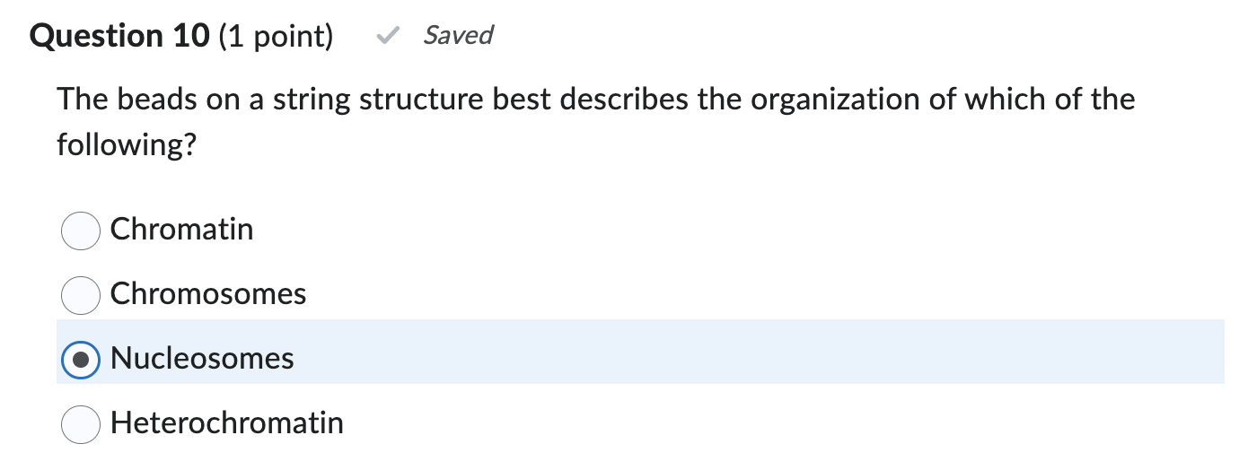 Solved Question 10 (1 ﻿point)The beads on a string structure | Chegg.com