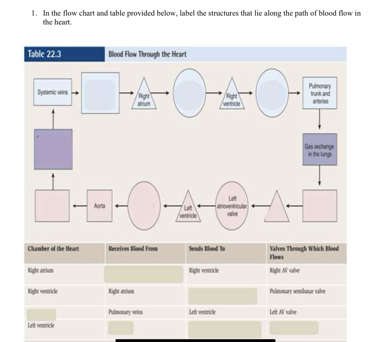 Solved 1. In the flow chart and table provided below, label | Chegg.com
