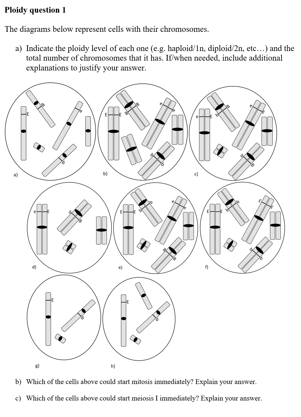 Solved Ploidy question 1 The diagrams below represent cells | Chegg.com