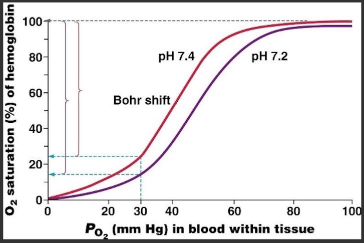 Solved For the following 2 questions refer to the graph | Chegg.com