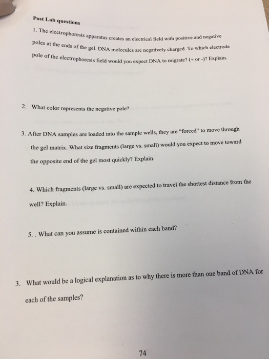 2. An example of how restriction map is constructed | Chegg.com