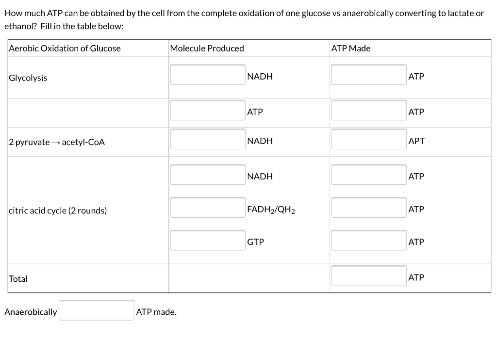 Solved How much ATP can be obtained by the cell from the | Chegg.com