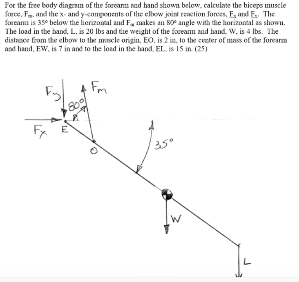 Solved For the free body diagram of the forearm and hand | Chegg.com