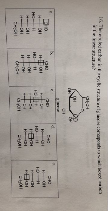 Glucose Linear Structure