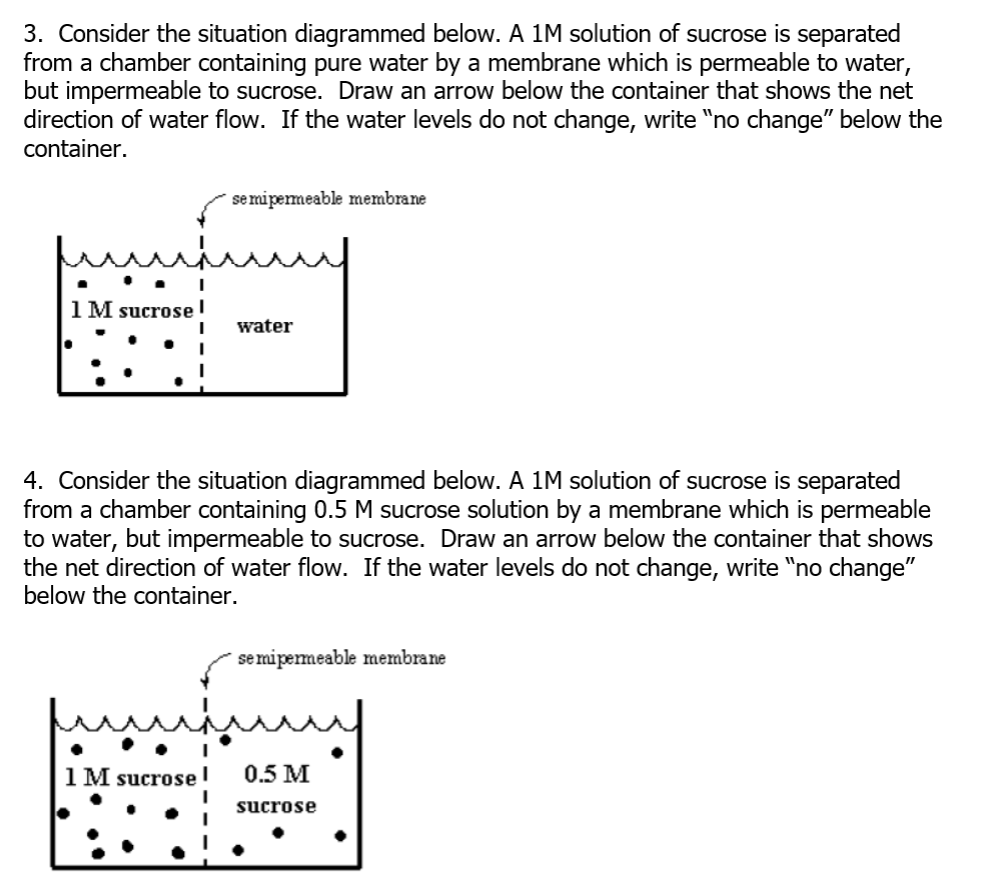 Solved How do I determine the direction of water flow in | Chegg.com
