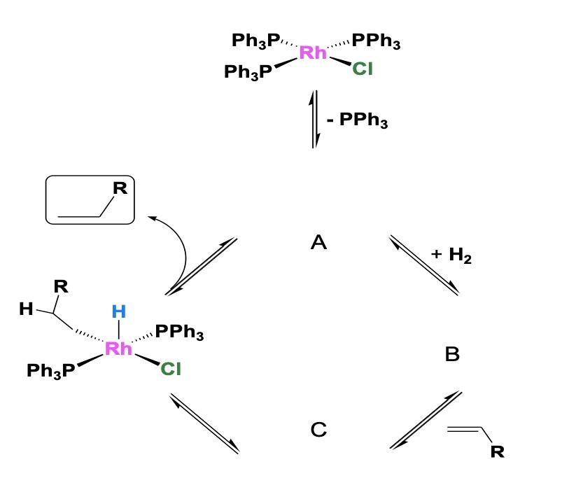 Solved Ph3P, "Rhi PPh3 Ph3P CI 1 PPh3 R А + H2 R H H PPh3 Rh | Chegg.com