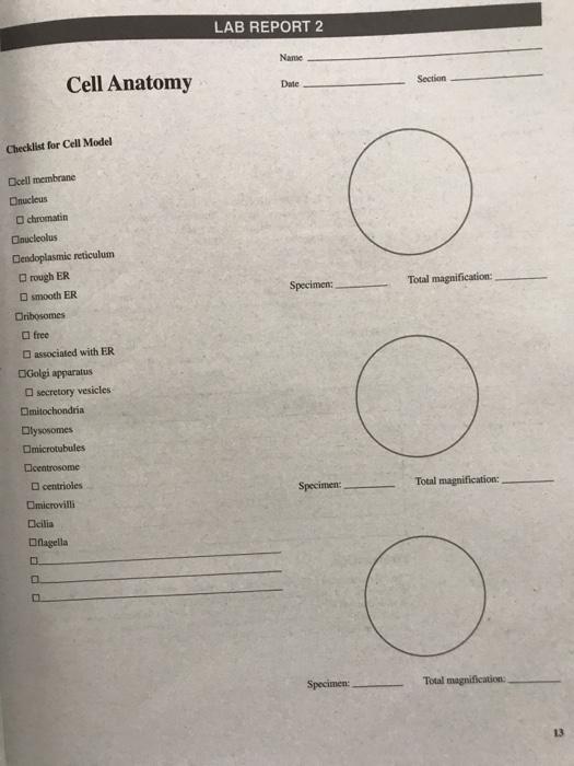 LAB REPORT 2 Nanie Cell Anatomy Date Section | Chegg.com