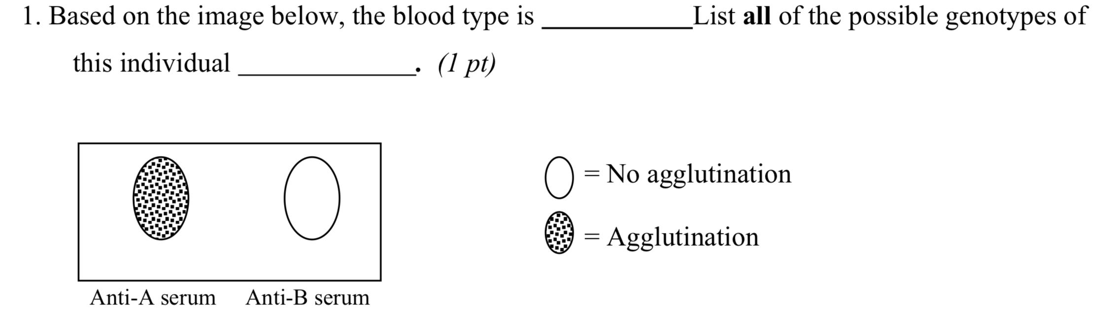 Solved List all of the possible genotypes of 1. Based on the | Chegg.com