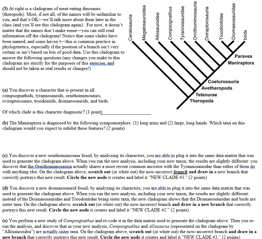 Solved (3) ﻿At right is a cladogram of meat-eating | Chegg.com