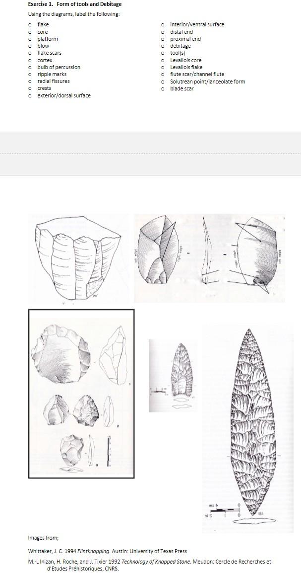 Exercise 1. Form of tools and Debitage Using the | Chegg.com