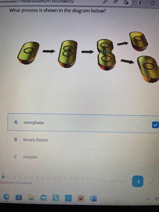 [Solved]: What process is shown in the diagram below? A in