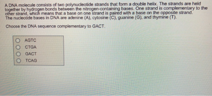 Solved A DNA molecule consists of two polynucleotide strands | Chegg.com