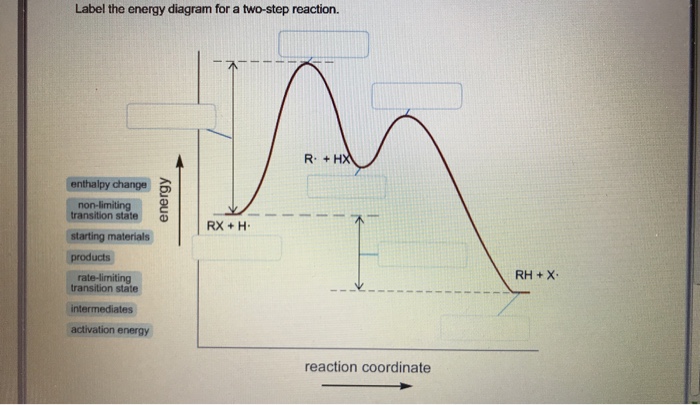 Solved Label the energy diagram for a two-step reaction. | Chegg.com