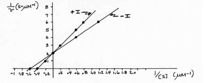 Solved Lineweaver-Burke (L/B) plot for 10 uM purified PKA, | Chegg.com