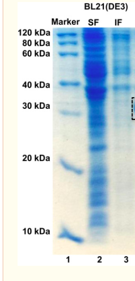 Please help me construct a Ferguson Plot based on the | Chegg.com