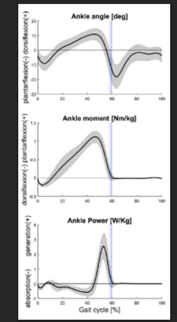 Solved These are angle, moment, and power graphs for the | Chegg.com